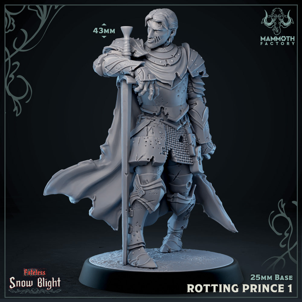 Rotting Prince 1 (Male Undead Human Noble) - Collectors World Toys